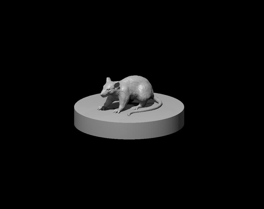 Doppelrat | Rat Resin Miniature – ZagTerrain